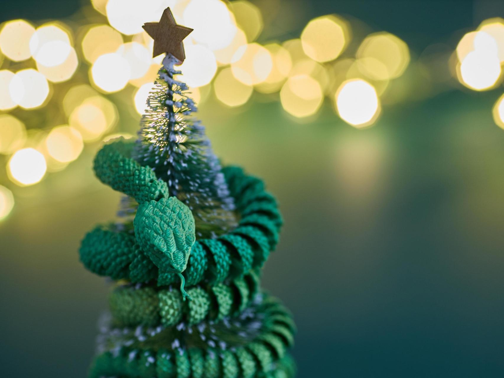 რა უნდა გააკეთოთ 2025 წელთან შესახვედრად, რომ მომავალ წელს ოცნებები ...